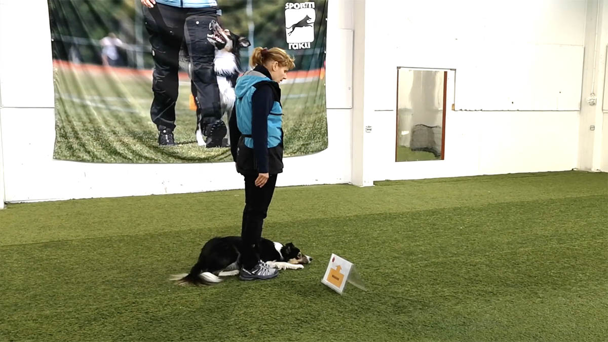 rallytoko suorituspaikat - SporttiRakki