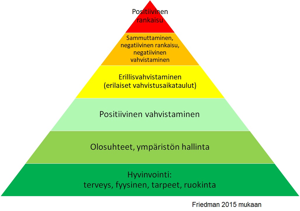 hh pyramidi - SporttiRakki